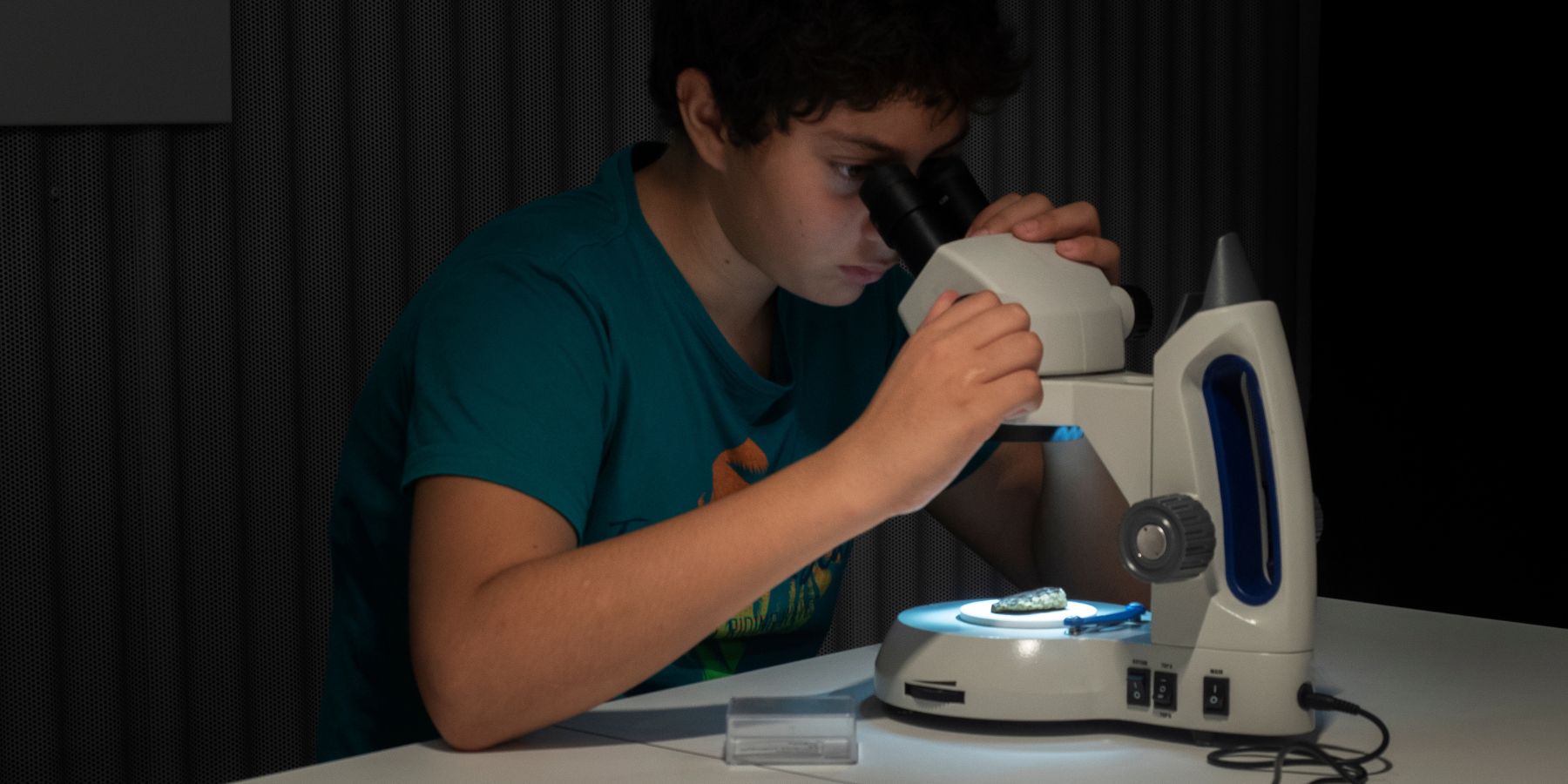 Comment choisir un microscope junior ? - Microbiology