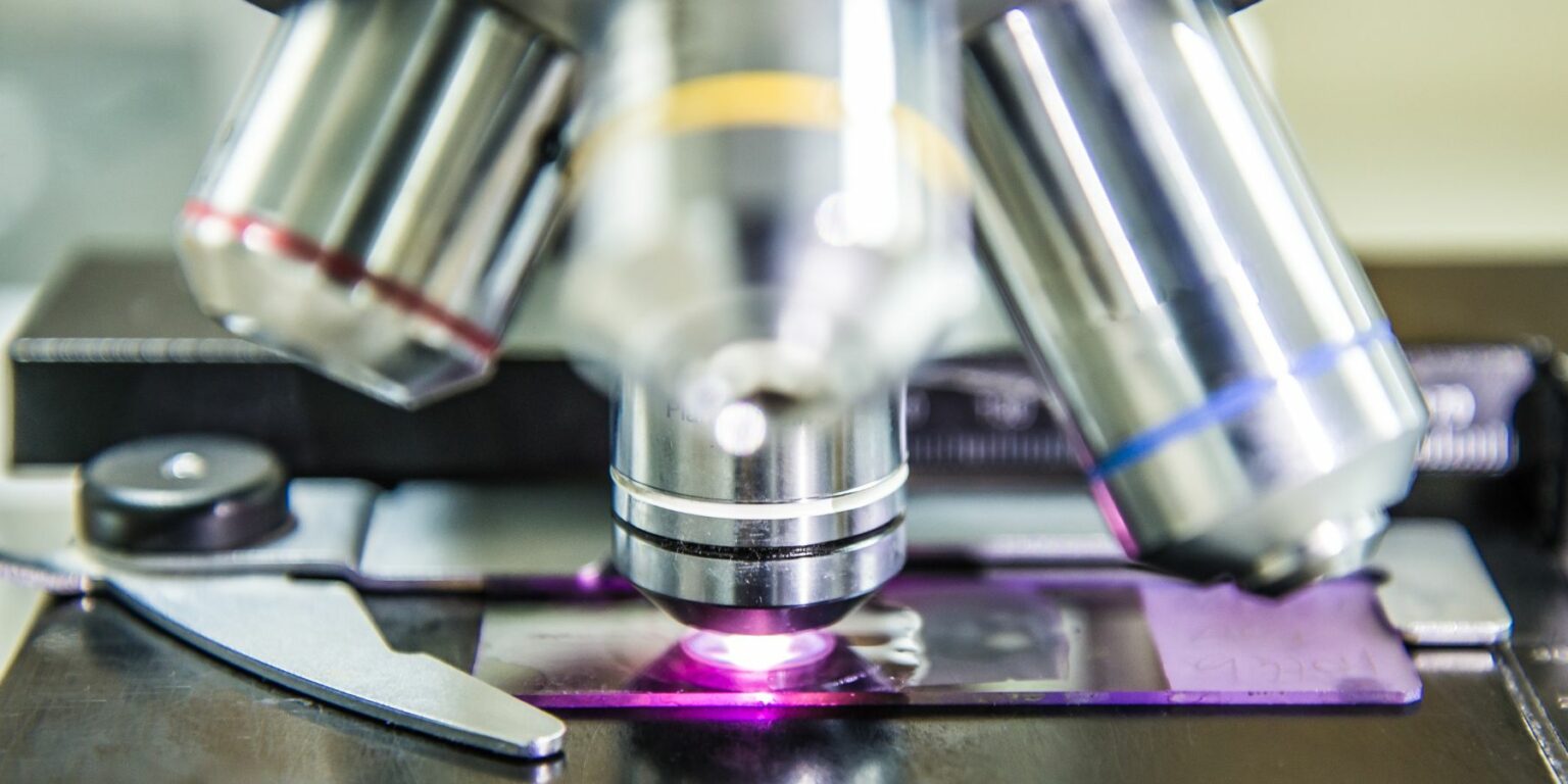 Bien utiliser un microscope : tous nos conseils - Microbiology
