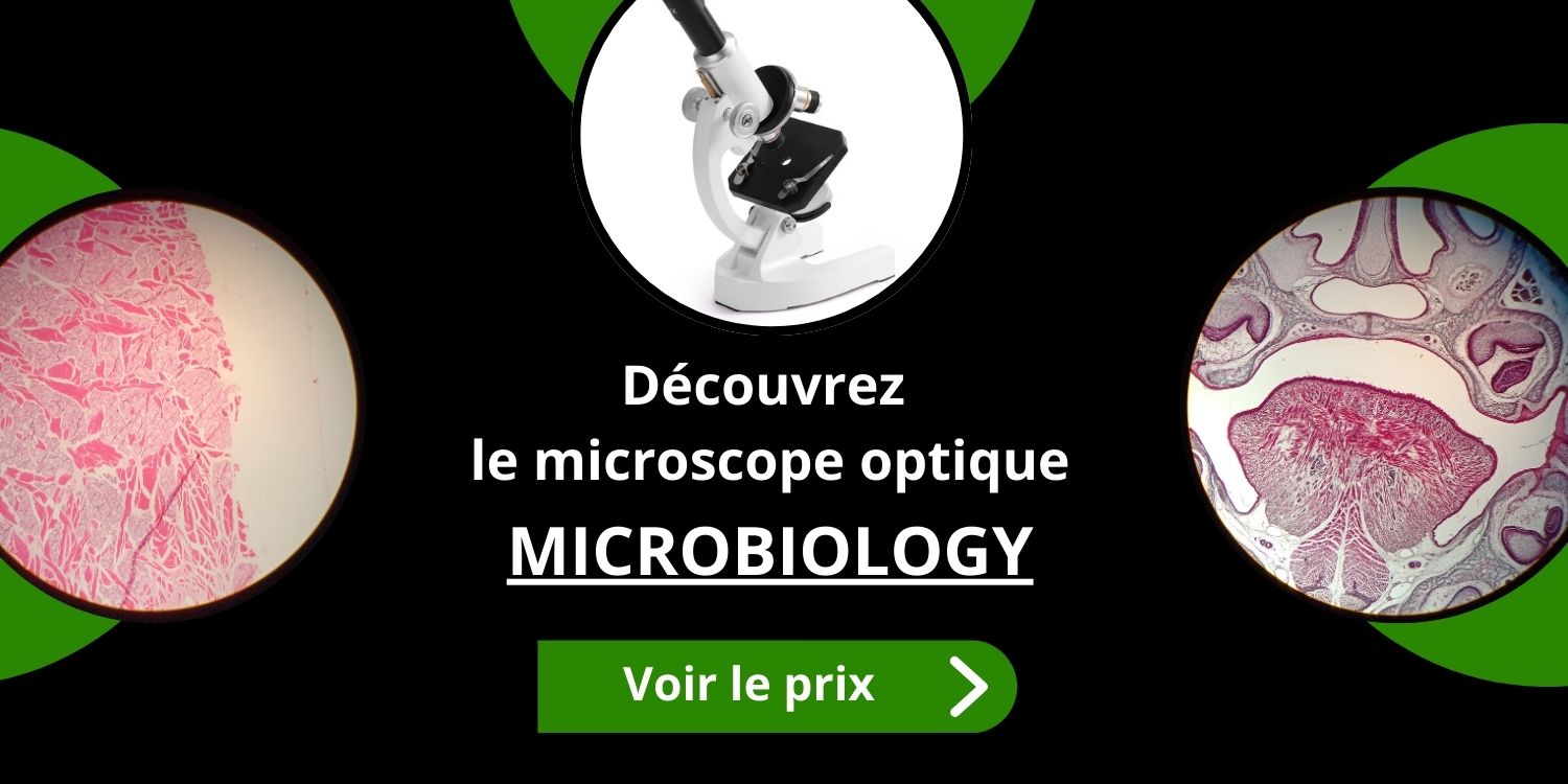 Le microscope photonique, qu'est-ce que c'est ? - Microbiology